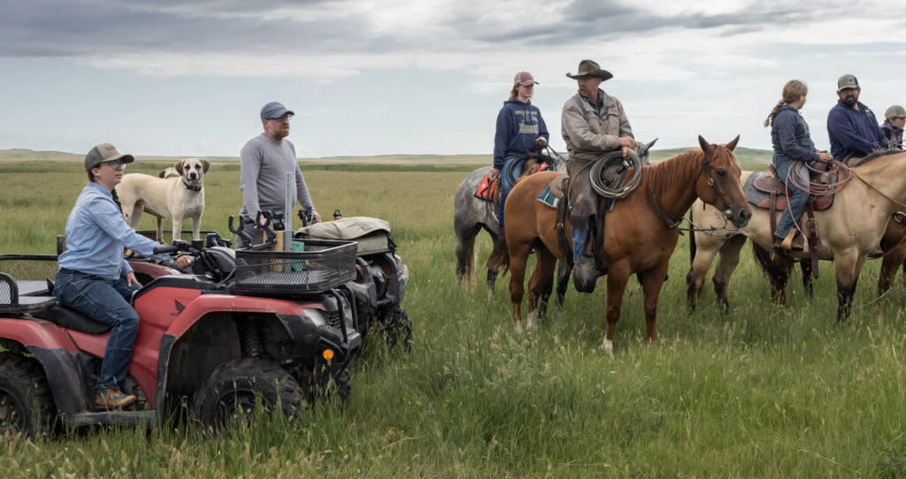 | Preserving Montana's Grasslands: The Nature Conservancy's Innovative ...